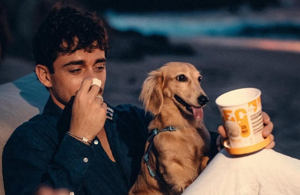 Charles Leclerc’s Dog: Meet Leo, F1 star’s long-haired dachshund